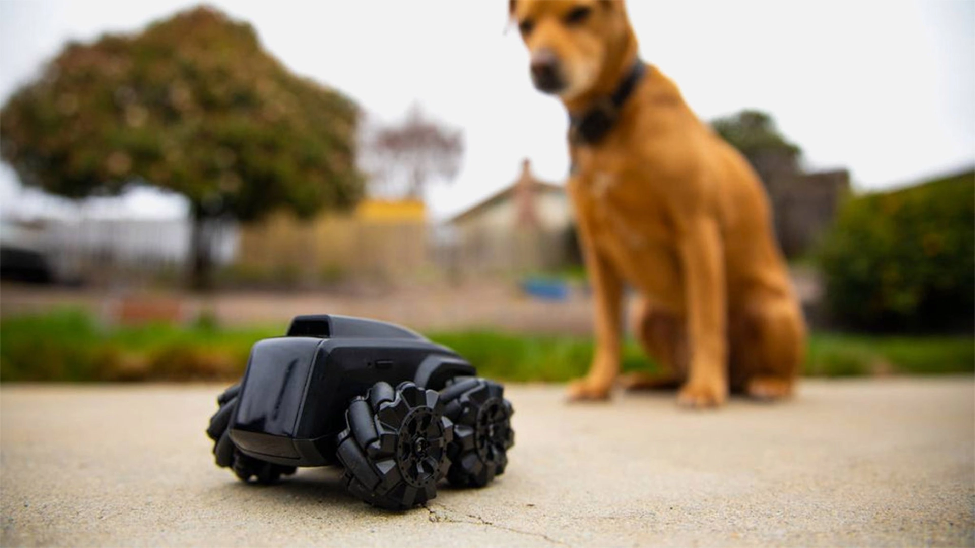 Pilot Labs Moorebot Scout: Mobile Robot for Home Monitoring