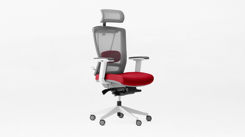 Best Red Ergonomic Office Chair - Autonomous ErgoChair Pro