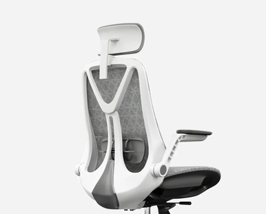 Best Office Chairs for Back Pain: Optimum Lumbar Support